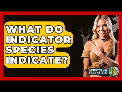 What Do Indicator Species Indicate? - Ecosystem Essentials