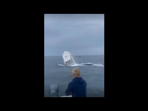 Two people rescued after breaching whale capsizes boat off New Hampshire coast