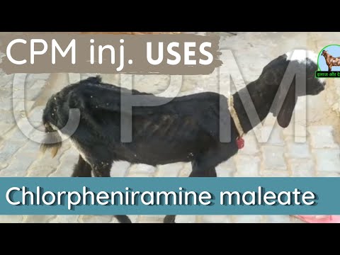 Chlorpheniramine Maleate Injection at Best Price in India