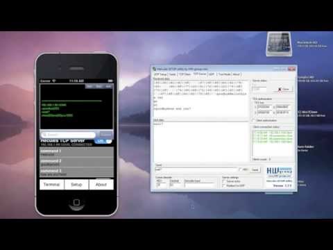 Simple TCP Terminal Demo