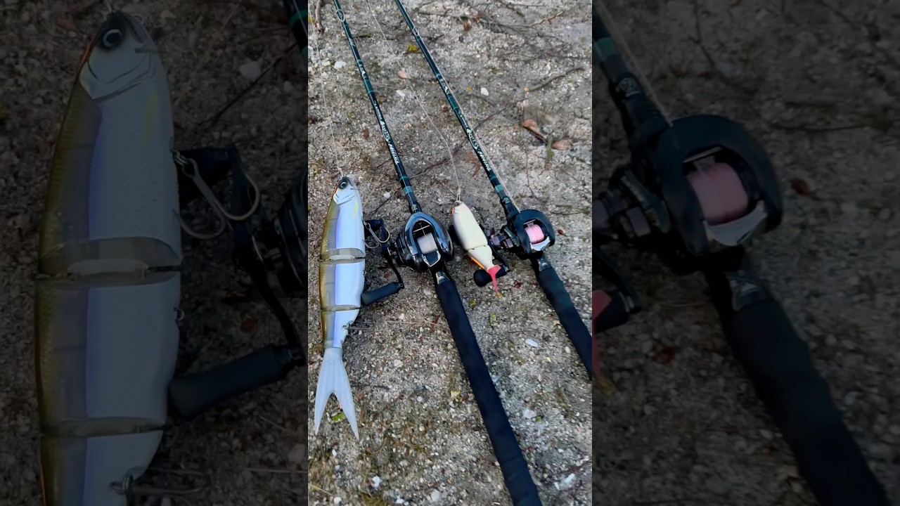 DRT Remix 70 & DRT Remix 73 🔥 #fishing #bassfishing