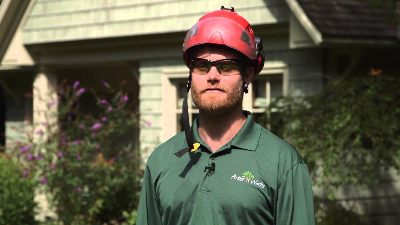 Utah Tree Service Company-Arbor Works