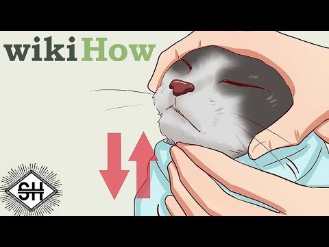 WikiHow Images