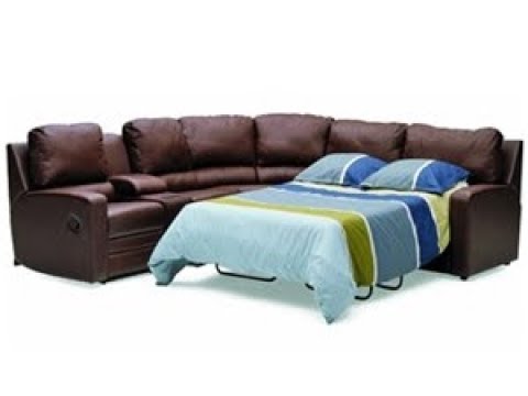 Leather Sleeper Sofa Sectional