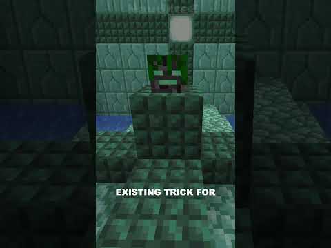 HOW To Get YOUR Own PLAYER HEADS In MINECRAFT!
