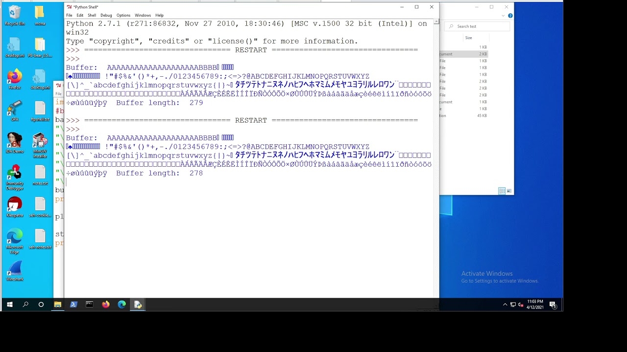 17-Finding Badchars Manually