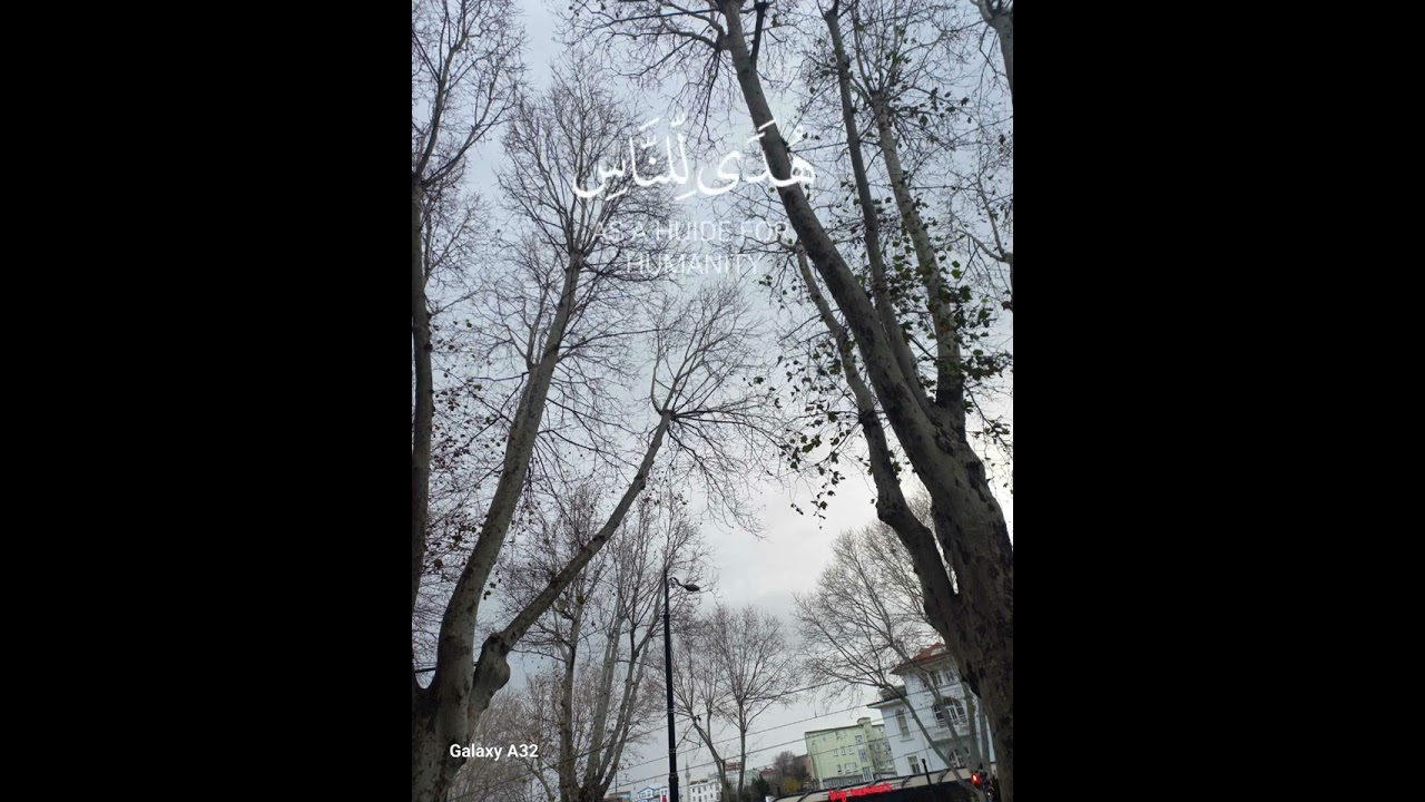 من أجمل التلاوة