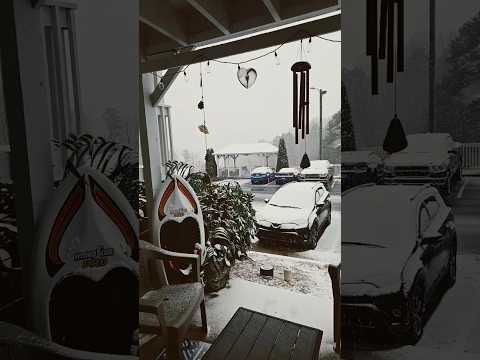 snow in gainesville, ga | 01.10.25 // #snowday #snowfall