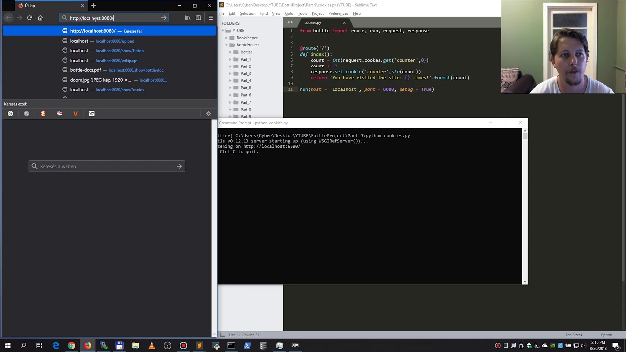 Python - Bottle - Part 9