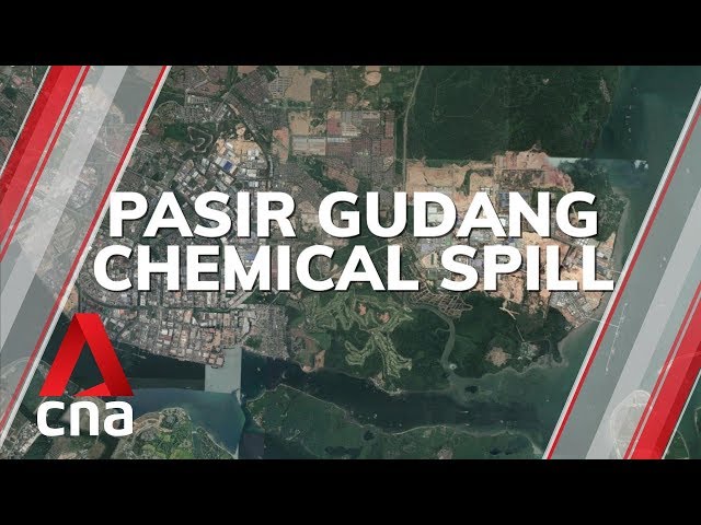 Dumping of toxic waste in the Kim Kim River, Malaysia