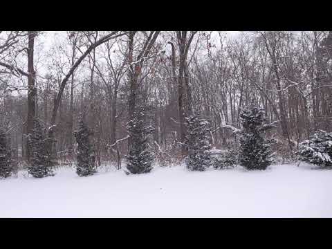 Bella Vista Arkansas Winter Paradise?
