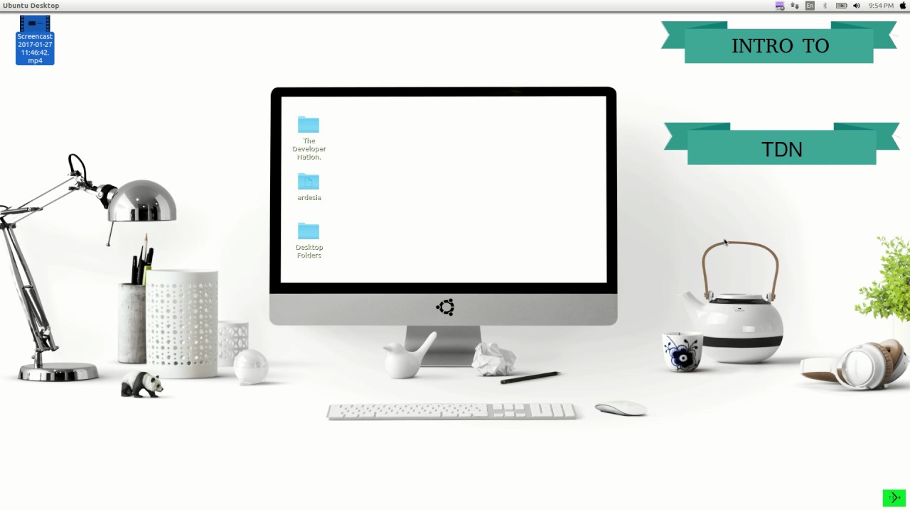 Intro To The Developer Nation