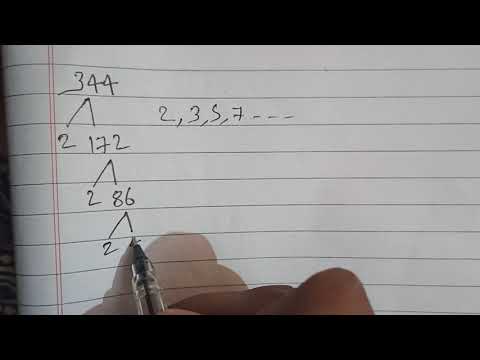 factor tree of 344 | prime factor tree |