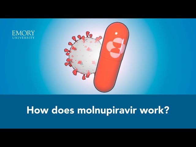 Pharmaceutical Capsules - Moda Finil Tablet - Provi Gil Service ...