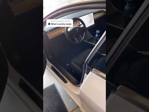 What Is Sentry Mode In My Tesla?! π€π€― #shorts #tesla #teslaflex #model3