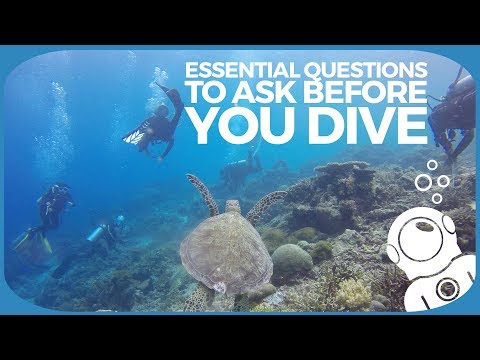 Essential Questions To Ask Before You Dive