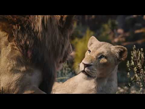 Can You Feel the Love Tonight (From "The Lion King")