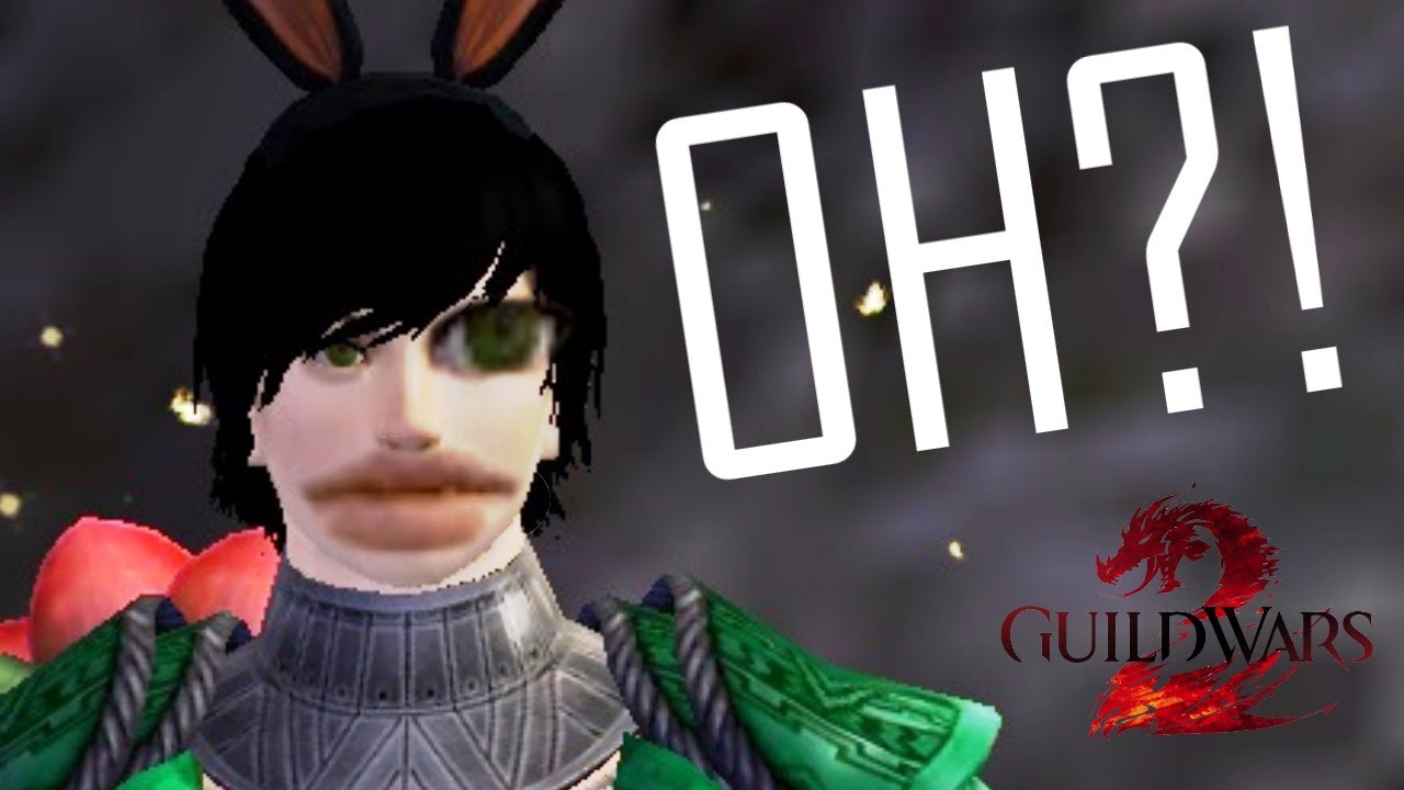 [Guild Wars 2] Life in a nutshell