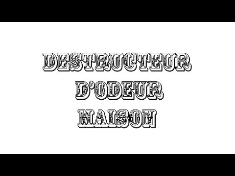 DIY DESTRUCTEUR D'ODEUR - LEA LAIKA