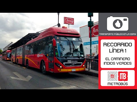 Metrobús | Línea 1 (El Caminero - Indios Verdes)