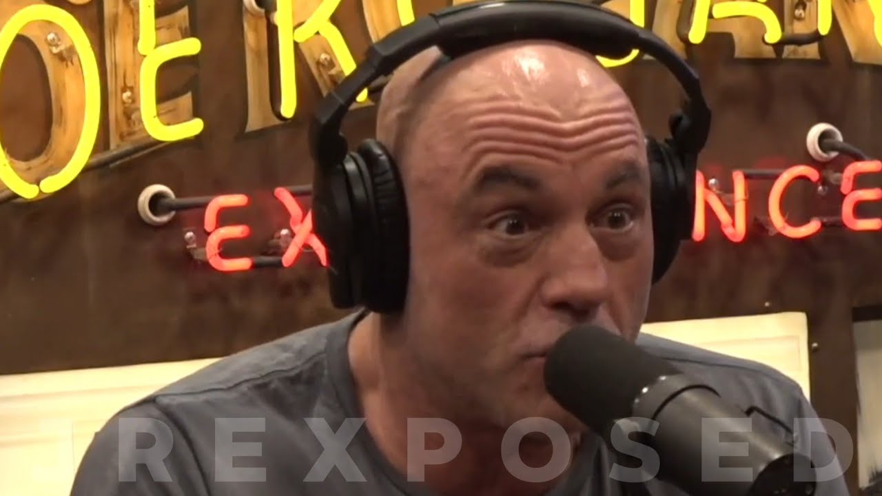 Joe Rogan EXPOSES the Truth About UFOs & AI