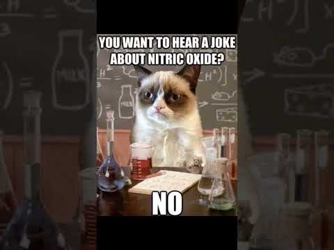 grumpy cat π€ #fypviralγ· #memes #grumpycat #memories #nostalgia #video #viralshort #catshorts #cat