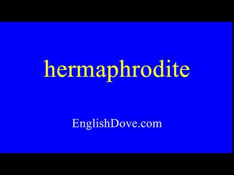 How to pronounce hermaphrodite in American English.