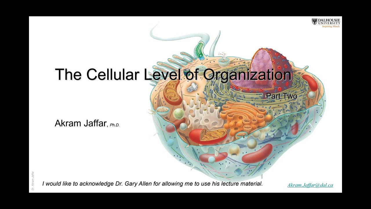 ANAT1010_3_Cell 2 + Anki flashcards
