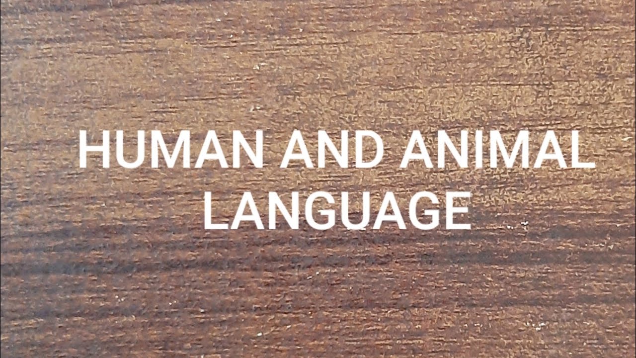 Human and Animal Language