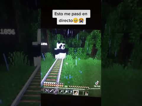 Panda muere por un rayo😭