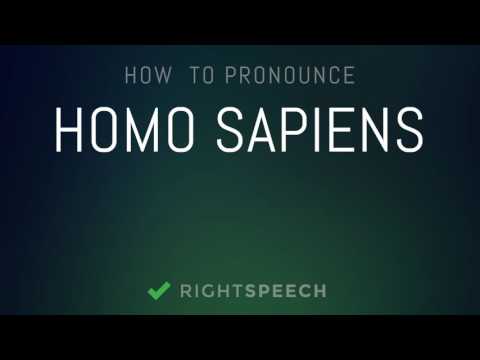 Homo Sapiens - How to pronounce Homo Sapiens