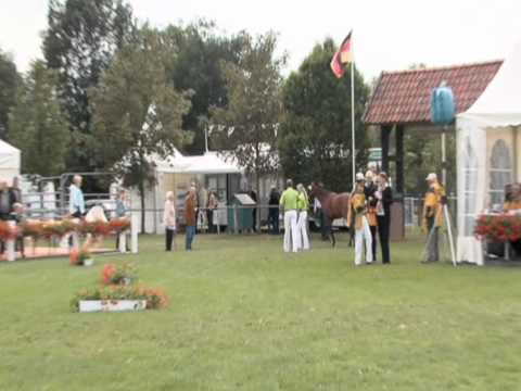 Siegerstute Deutsches Elitestutenchampionat 2011