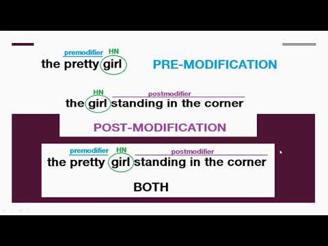 Unit 9 An introduction to complex noun phrases
