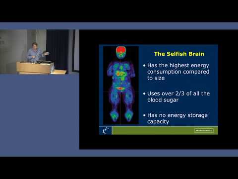 Appetite regulation and eating disorders - Prof Herbert Herzog