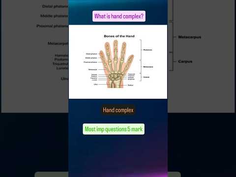 what is hand complex? detail about information?