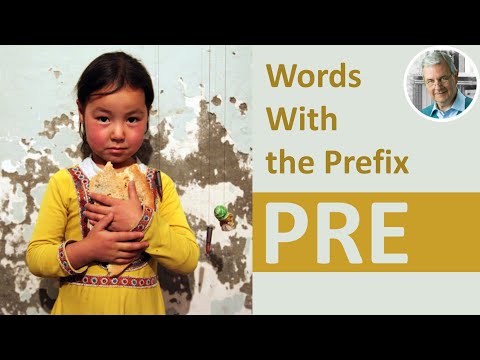 Words With the Prefix PRE (7 Illustrated Examples)