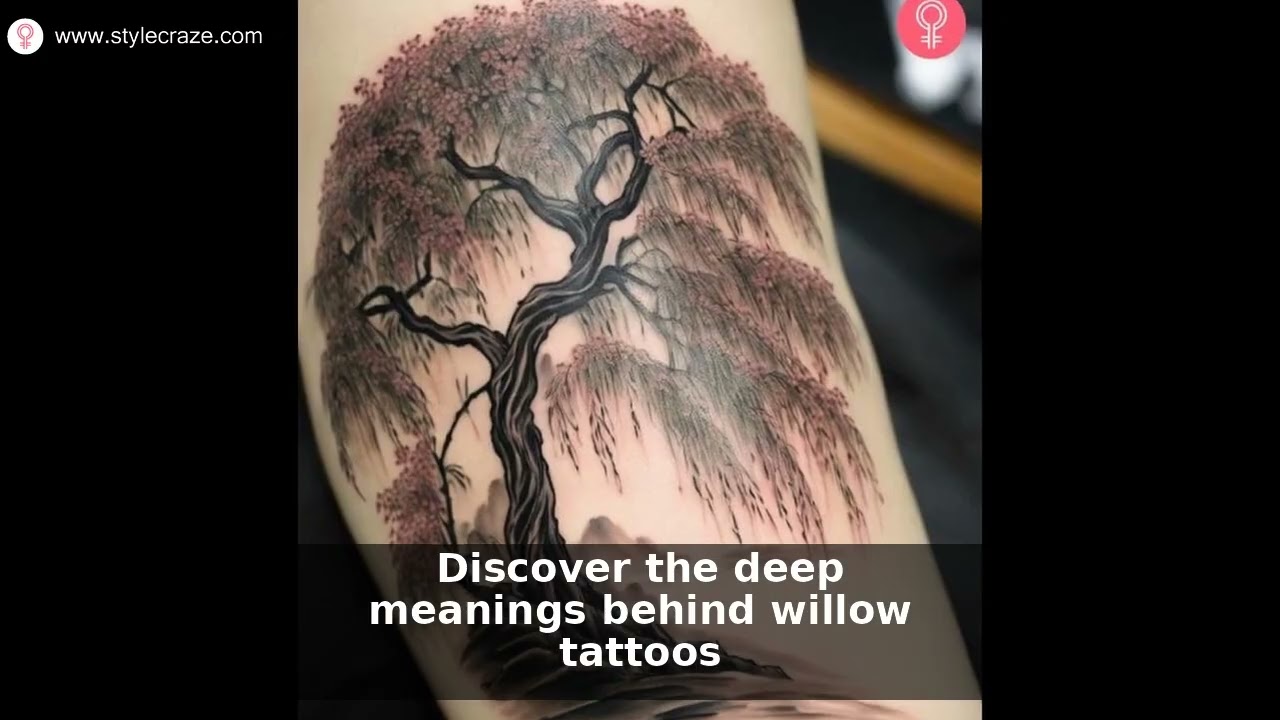 8 Stunning Weeping Willow Tattoo Ideas & Meanings