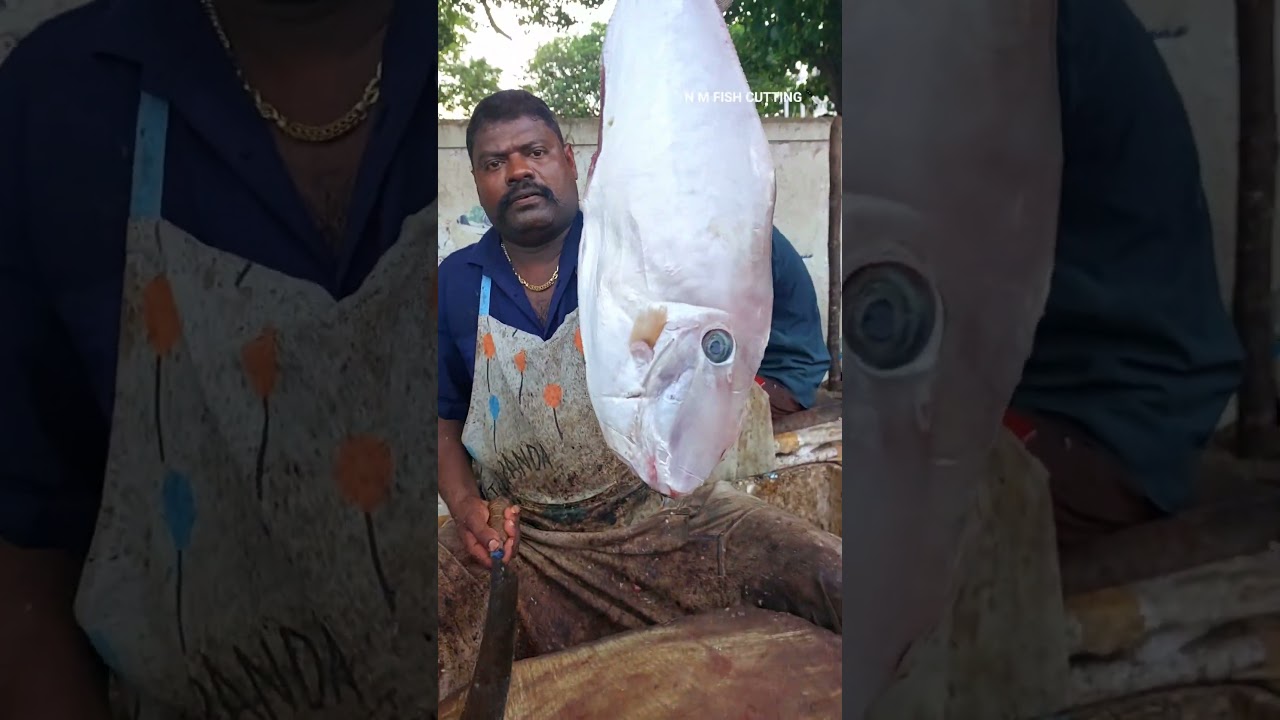 🤯LEATHER JACKET FISH |KASIMEDU 🔪 SPEED SELVAM OUTSTANDING CUTTING SKILLS VIDEO #fishcuttingskills