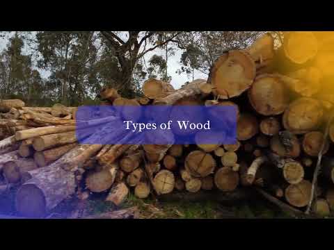 Best wood for Outdoor Gazebo (Video Guide)