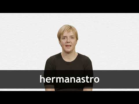 English Translation of “HERMANASTRO” | Collins Spanish-English Dictionary
