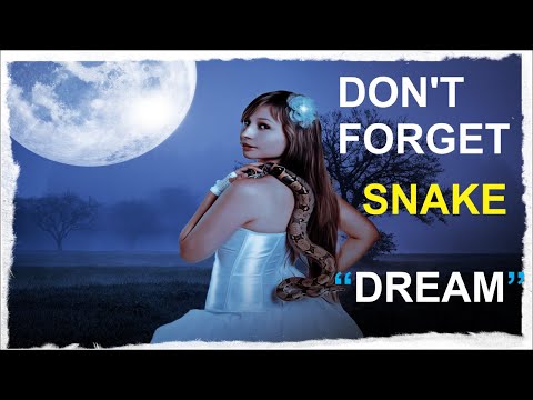 What does it mean when you dream about snakes | dream about snakes