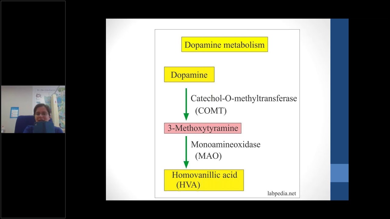 Abdominal Masses - Dr Angelini - 14May2020