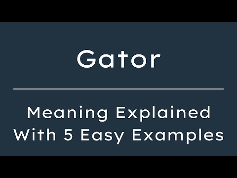What Does Gator Mean? Gator Meaning in English With 5 Example Sentences