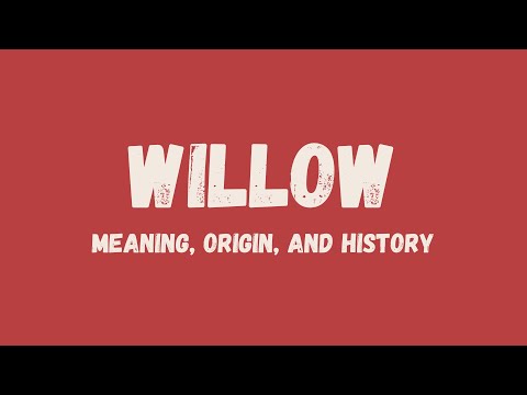 What is the meaning of Willow, name origin, and history