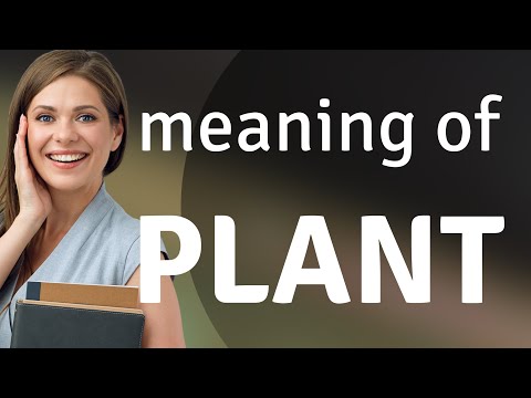 Plant • what is PLANT meaning