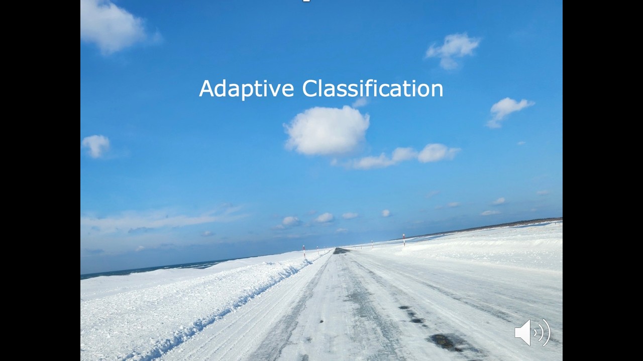 Adaptive Classification