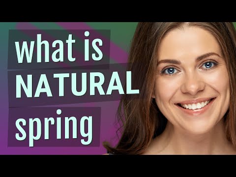 Natural spring | meaning of Natural spring