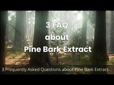 3 FAQ about Pine Bark Extract
