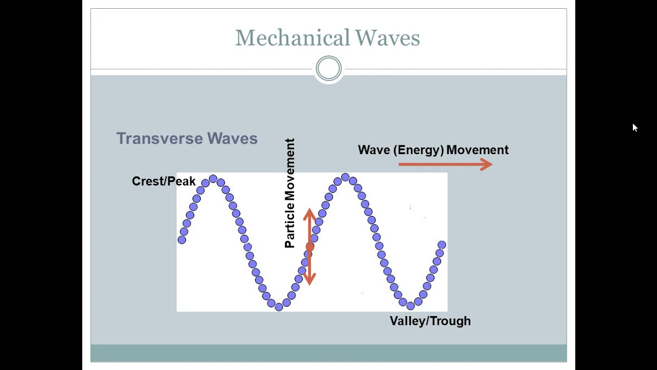 Waves & Sound - Introduction to Waves & Mechanical Waves