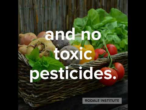 What Does Organic Really Mean?